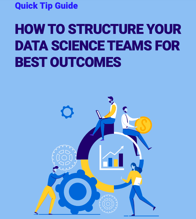 How to Structure Data Science Teams for Best Outcomes | Guide Book